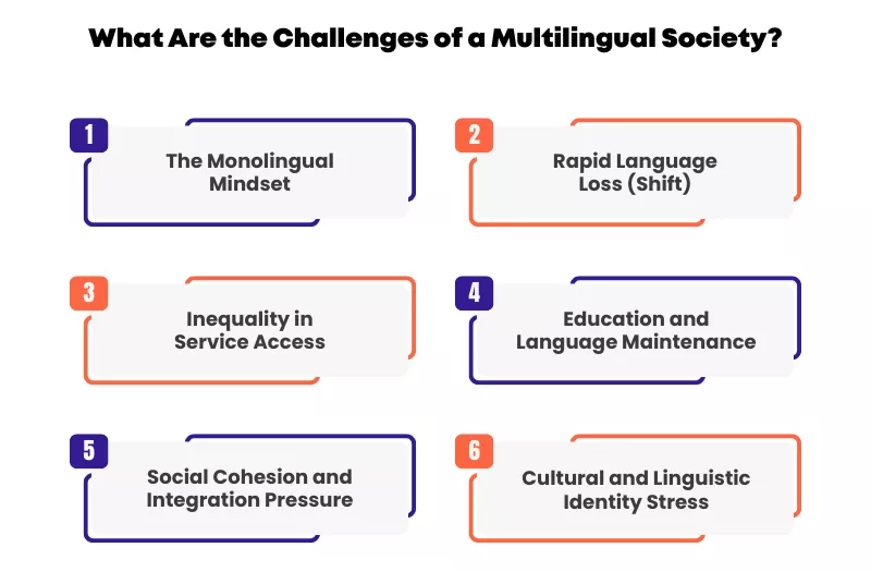 Cultural Diversity in Australia: 2026 Stats & Impact Guide